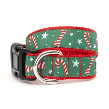 Dog Collars - Collars and Leads - Walkwear